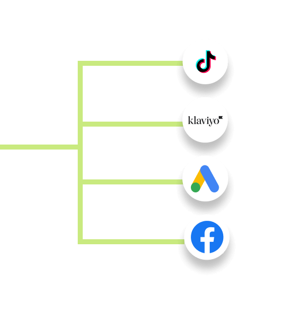 Daasity | ELT & Analytics for Consumer Brands